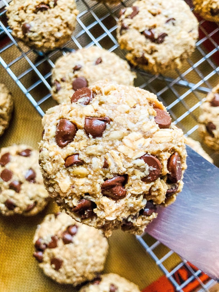 Healthy Oatmeal Peanut Butter Cookies – Sara’s Baking Blog